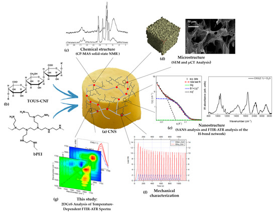 2D Correlation Spectroscopy (2DCoS) Analysis of Temperature-Dependent FTIR-ATR Spectra in ...