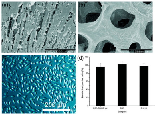 Biomedical Applications of Bacterial Exopolysaccharides: A Review