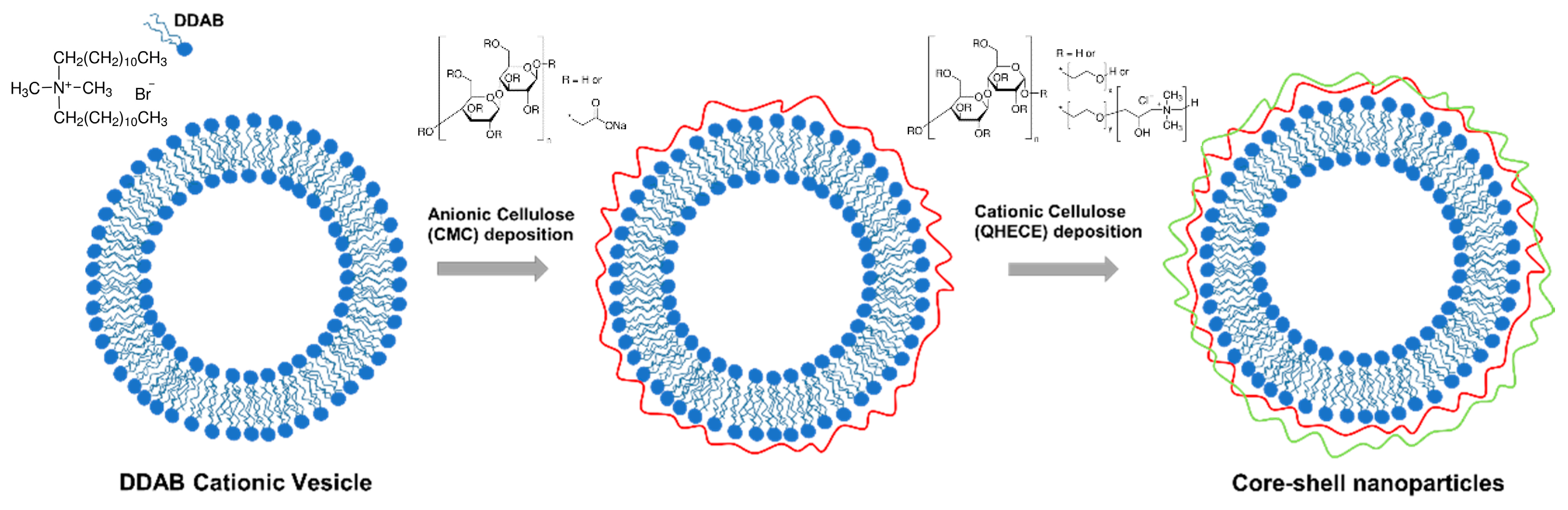 Polymers | Free Full-Text | On the Development of All-Cellulose ...