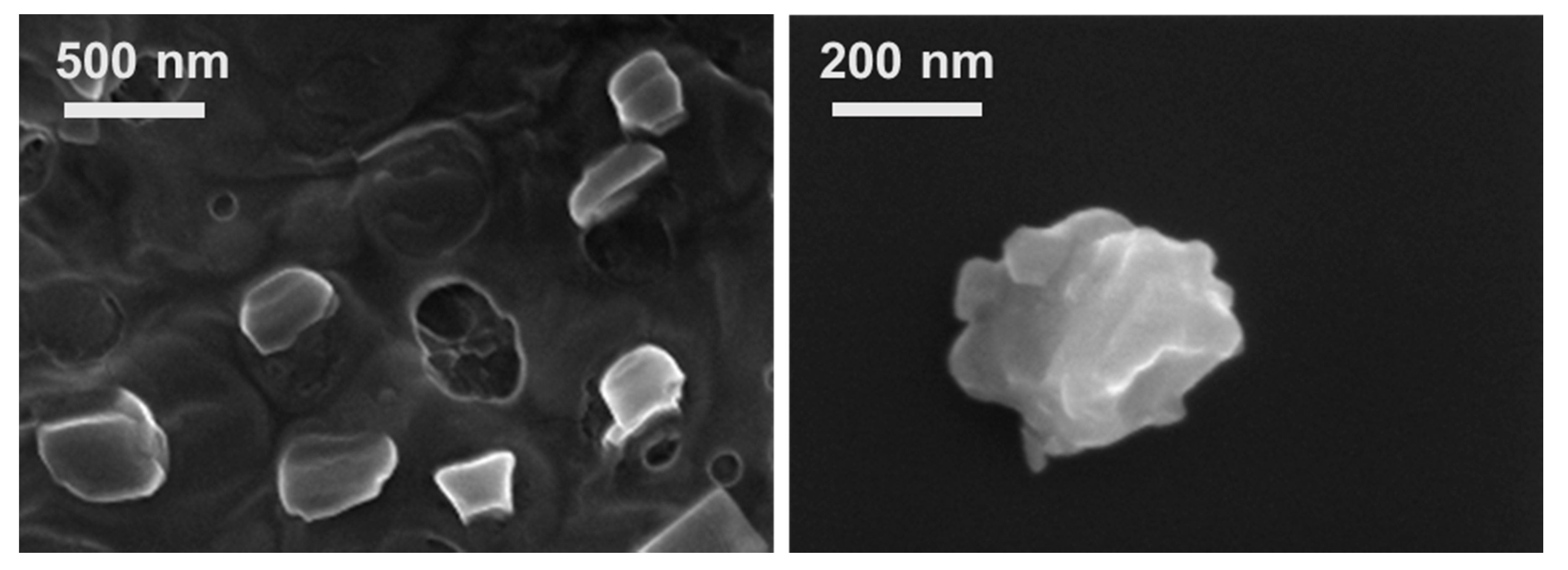 Polymers | Free Full-Text | On the Development of All-Cellulose ...