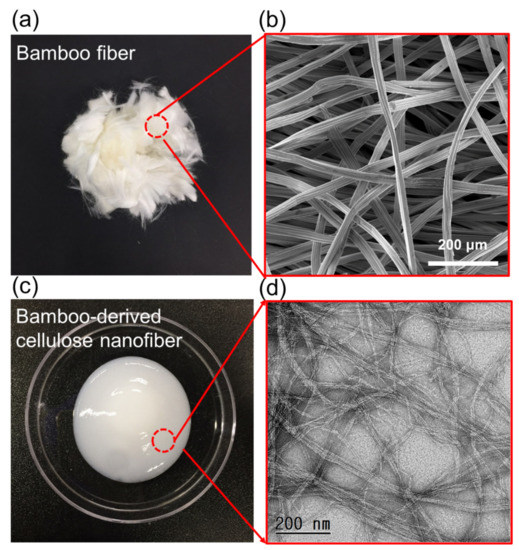 Polymers | Special Issue : Advances in Biocompatible and Biodegradable ...