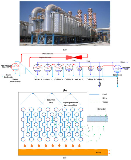 Polymers | Free Full-Text | Sustainability Assessment and Techno ...