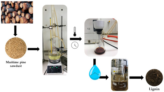 Enhancing Lignin Dissolution and Extraction: The Effect of Surfactants
