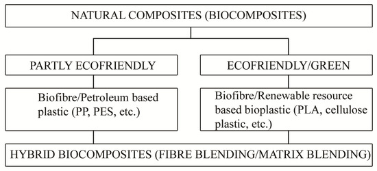 Progress in Biodegradable Flame Retardant Nano-Biocomposites