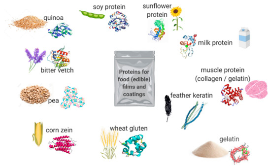 Protein-Based Films and Coatings for Food Industry Applications