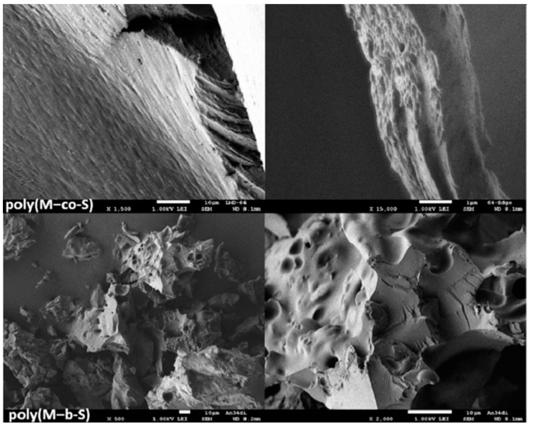 Polymers | Free Full-Text | Sustainable Myrcene-Based Elastomers via a ...