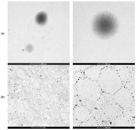 Assessing the Effect of CeO2 Nanoparticles as Corrosion Inhibitor in ...