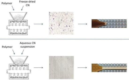 Polymers | Free Full-Text | A Review of Wet Compounding of Cellulose ...