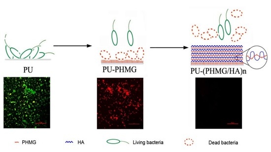 Polymers | Free Full-Text | Preparation and Antifouling Property of ...