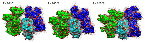 Exploring the Structure–Performance Relationship of Sulfonated ...