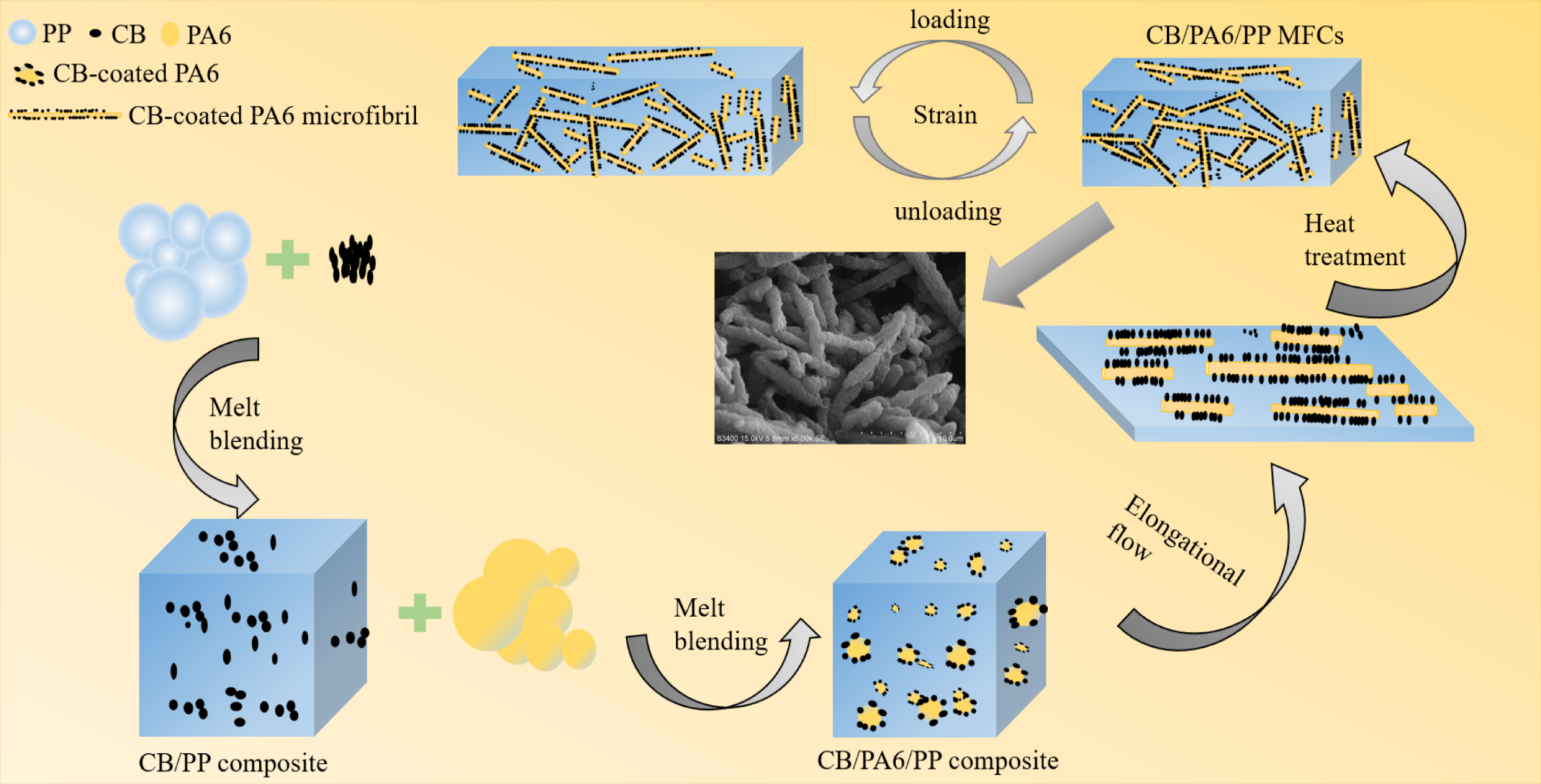 Polymers | Free Full-Text | The Entangled Conductive Structure of CB ...