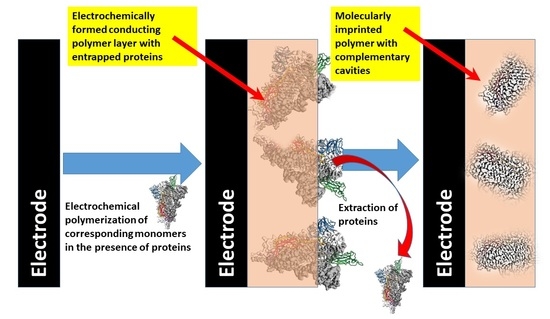 Polymers | Free Full-Text | Advances in Molecularly Imprinted Polymers Based Affinity Sensors ...