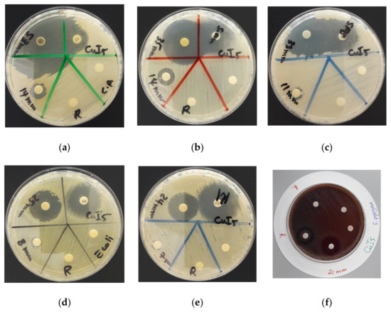 Antimicrobial Hexaaquacopper(II) Complexes with Novel Polyiodide Chains