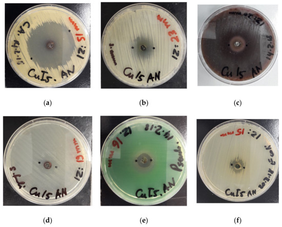 Antimicrobial Hexaaquacopper(II) Complexes with Novel Polyiodide Chains