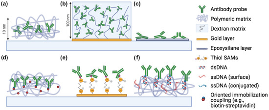 The Role of Surface Chemistry in the Efficacy of Protein and DNA ...