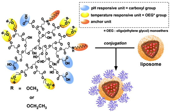Recent Advancements in Polymer/Liposome Assembly for Drug Delivery ...