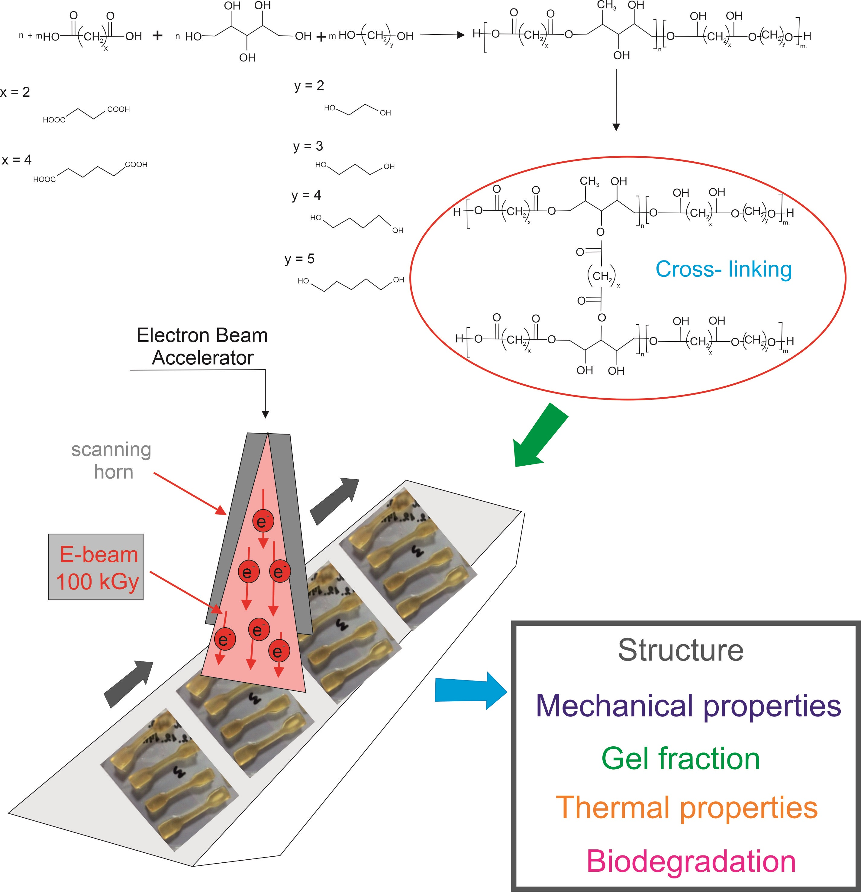 Polymers | Free Full-Text | Physical Effects of Radiation Modification ...