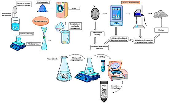 A Comprehensive Review on Plant-Derived Mucilage: Characterization ...
