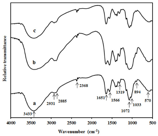 Fabrication and Characterization of Chitosan/Cellulose Nanocrystal ...