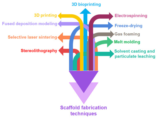 A Comparative Review of Natural and Synthetic Biopolymer Composite ...