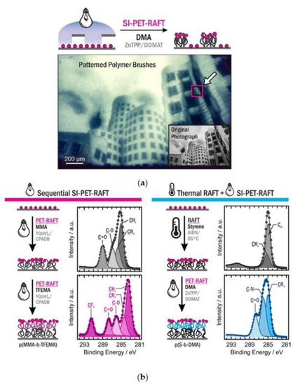 New Light in Polymer Science: Photoinduced Reversible Addition ...