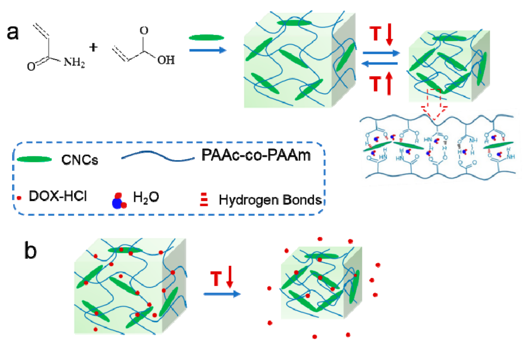 Multiresponsive Cellulose Nanocrystal Cross-Linked Copolymer Hydrogels ...