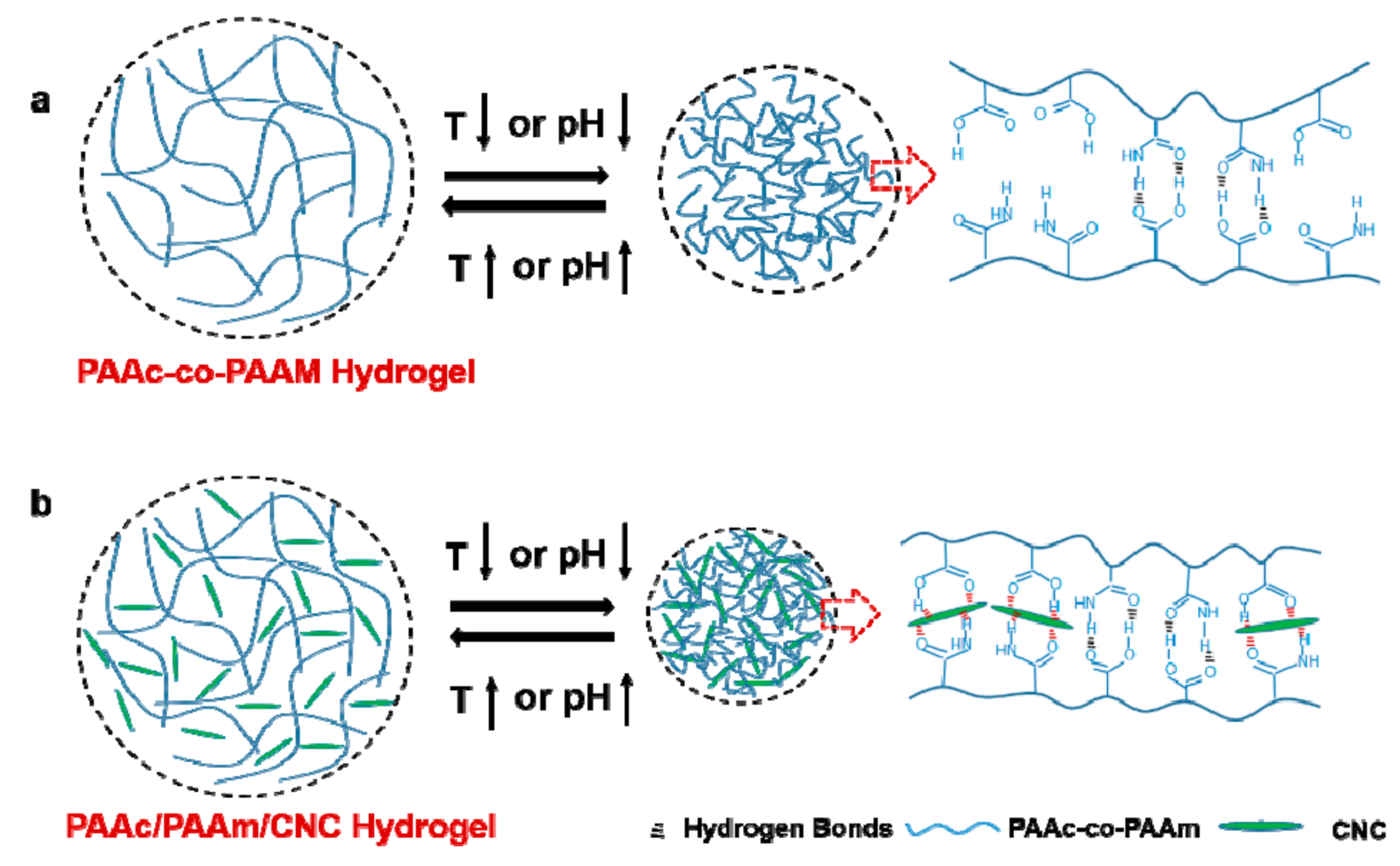 Multiresponsive Cellulose Nanocrystal Cross-Linked Copolymer Hydrogels ...
