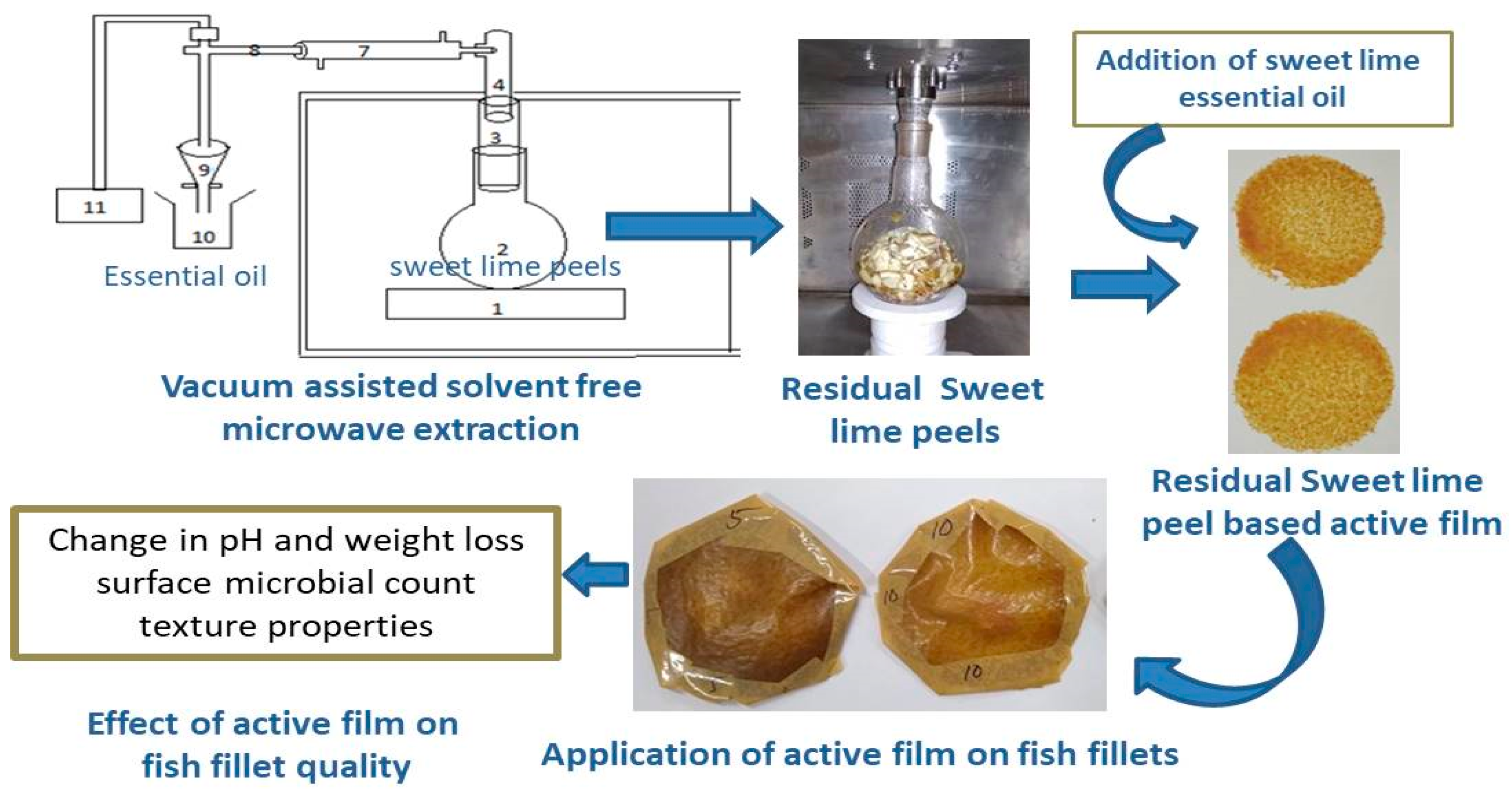 Active Biodegradable Films Based on Sweet Lime Peel Residue and Its ...