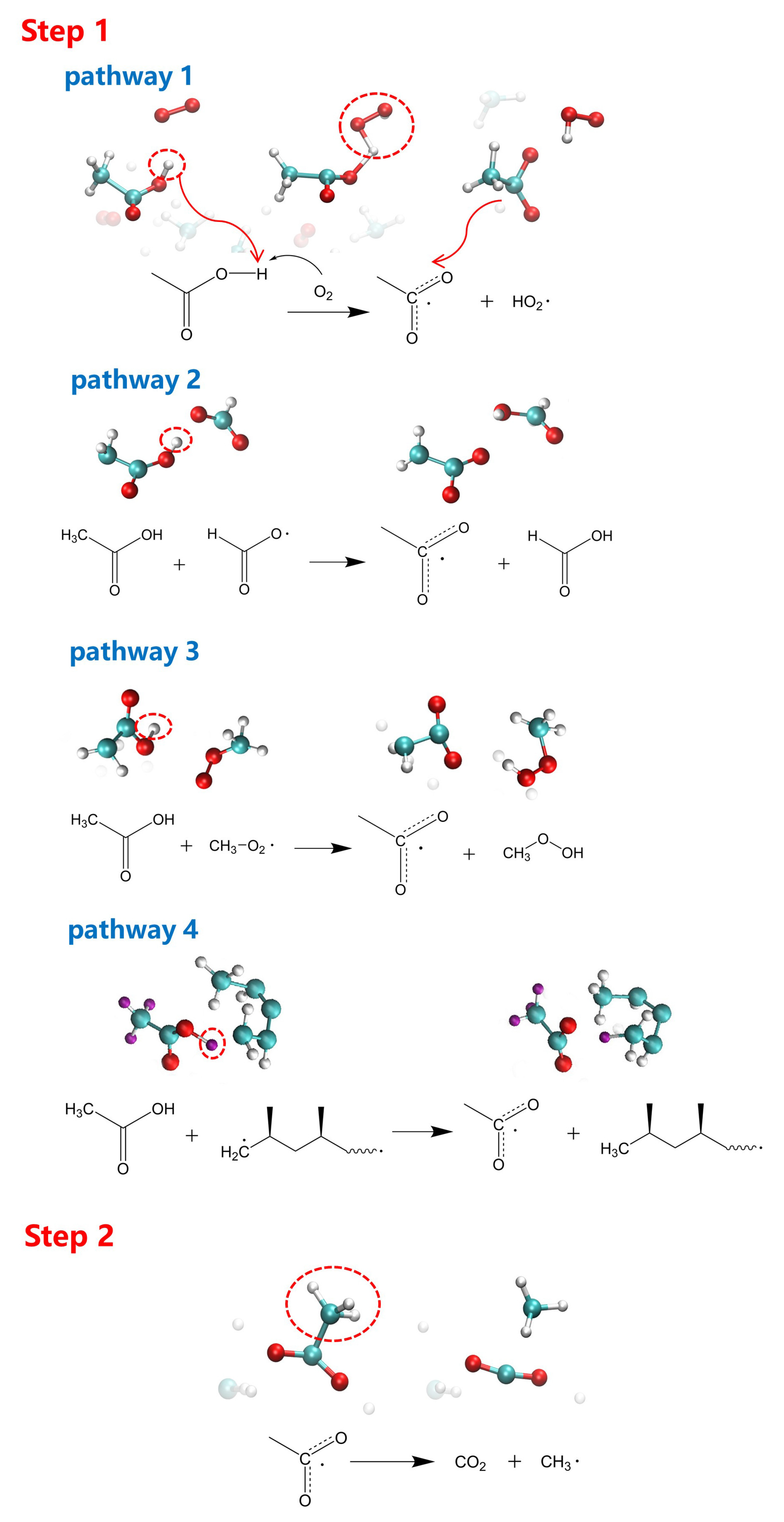 How Small Molecules Affect the Thermo-Oxidative Aging Mechanism of ...