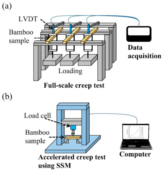 Water Resistance and Creep Behavior of Heat-Treated Moso Bamboo ...