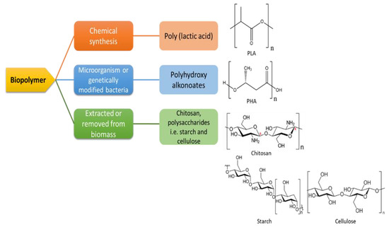 Polymers | Free Full-Text | Polylactic Acid (PLA) Biocomposite ...