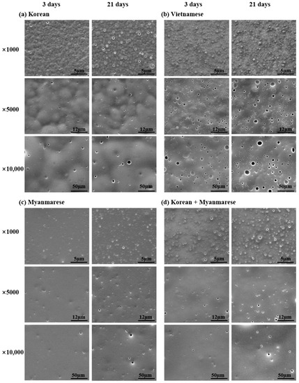 Polymers | Special Issue : Functional Polymer Coatings II
