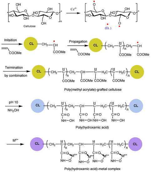 Waste Fiber-Based Poly(hydroxamic acid) Ligand for Toxic Metals Removal ...