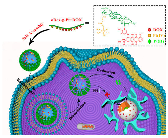 pH and Reduction Dual-Responsive Bi-Drugs Conjugated Dextran Assemblies ...