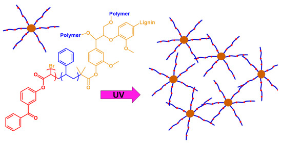 UV-Curable Bio-Based Polymers Derived from Industrial Pulp and Paper ...