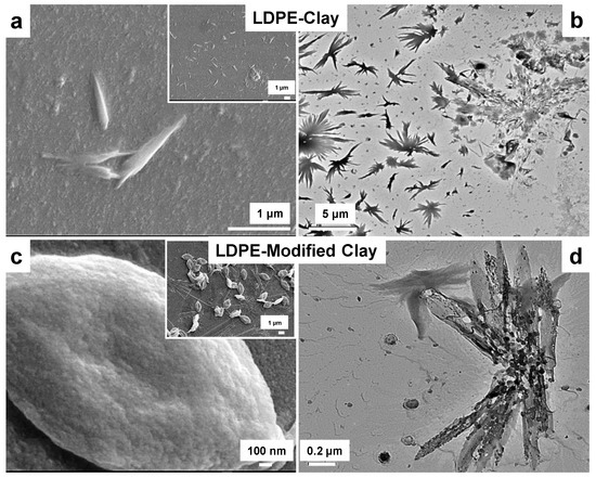 Morphological and Chemical Analysis of Low-Density Polyethylene ...