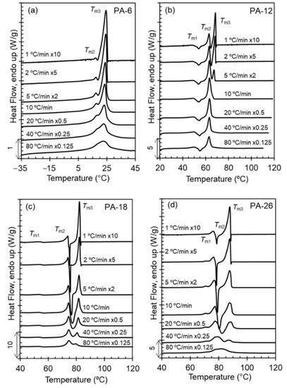 Crystallization of Long-Spaced Precision Polyacetals III: Polymorphism ...