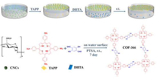 Cellulose Nanocrystals as Template for Improving the Crystallinity of ...