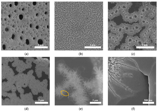 Cellulose Nanocrystals as Template for Improving the Crystallinity of ...