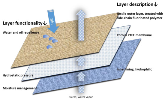 Biobased Waterborne Polyurethane-Urea/SWCNT Nanocomposites for ...