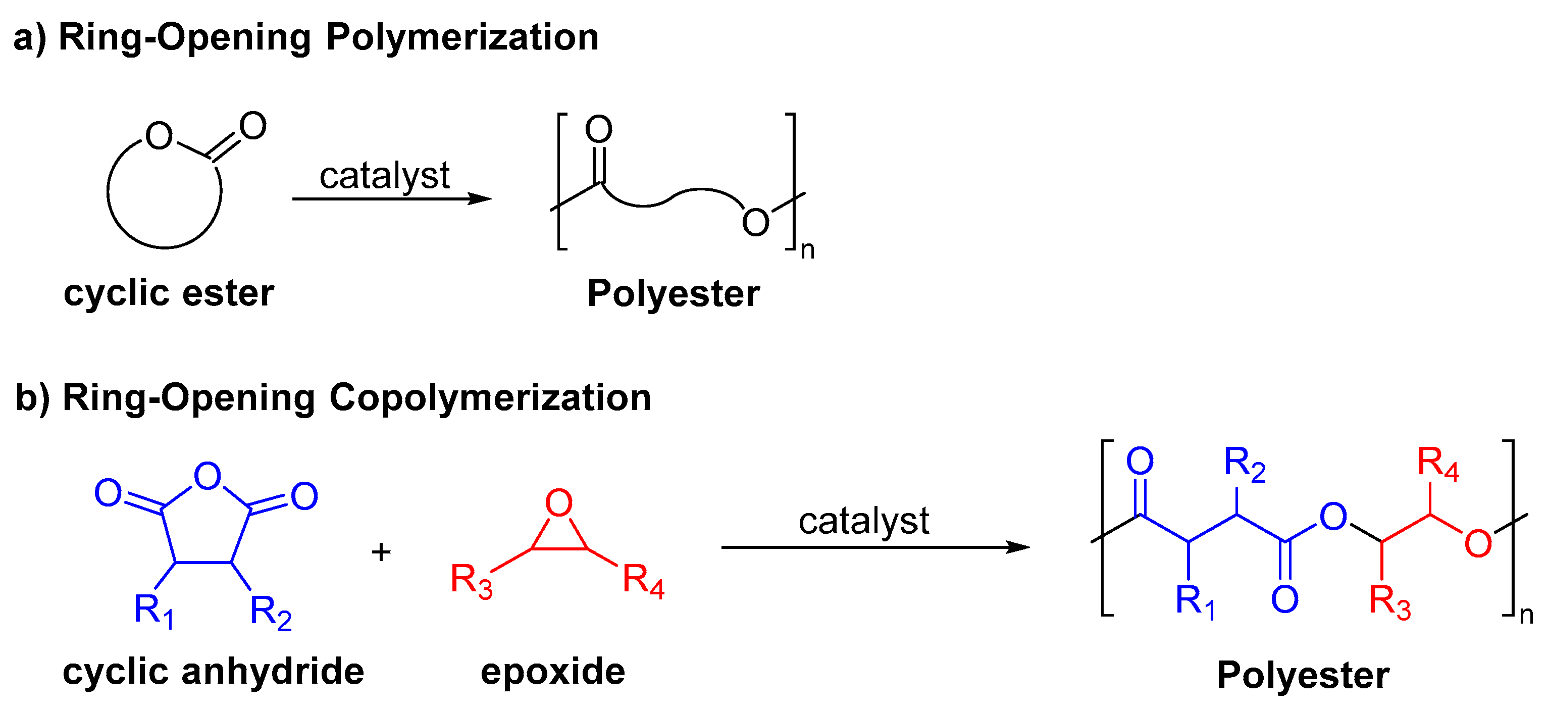 Ring-Opening Copolymerization of Cyclohexene Oxide and Cyclic ...