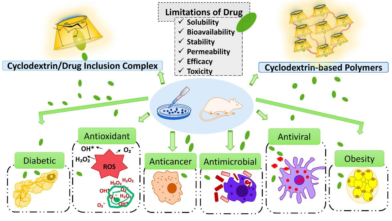 Polymers | Free Full-Text | Cyclodextrin Monomers and Polymers for Drug ...