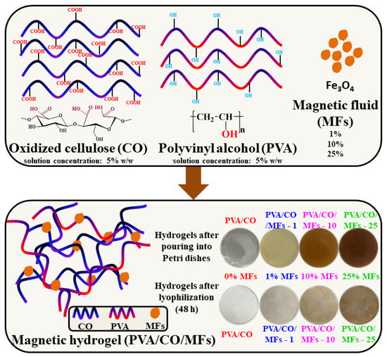Affordable Magnetic Hydrogels Prepared from Biocompatible and ...
