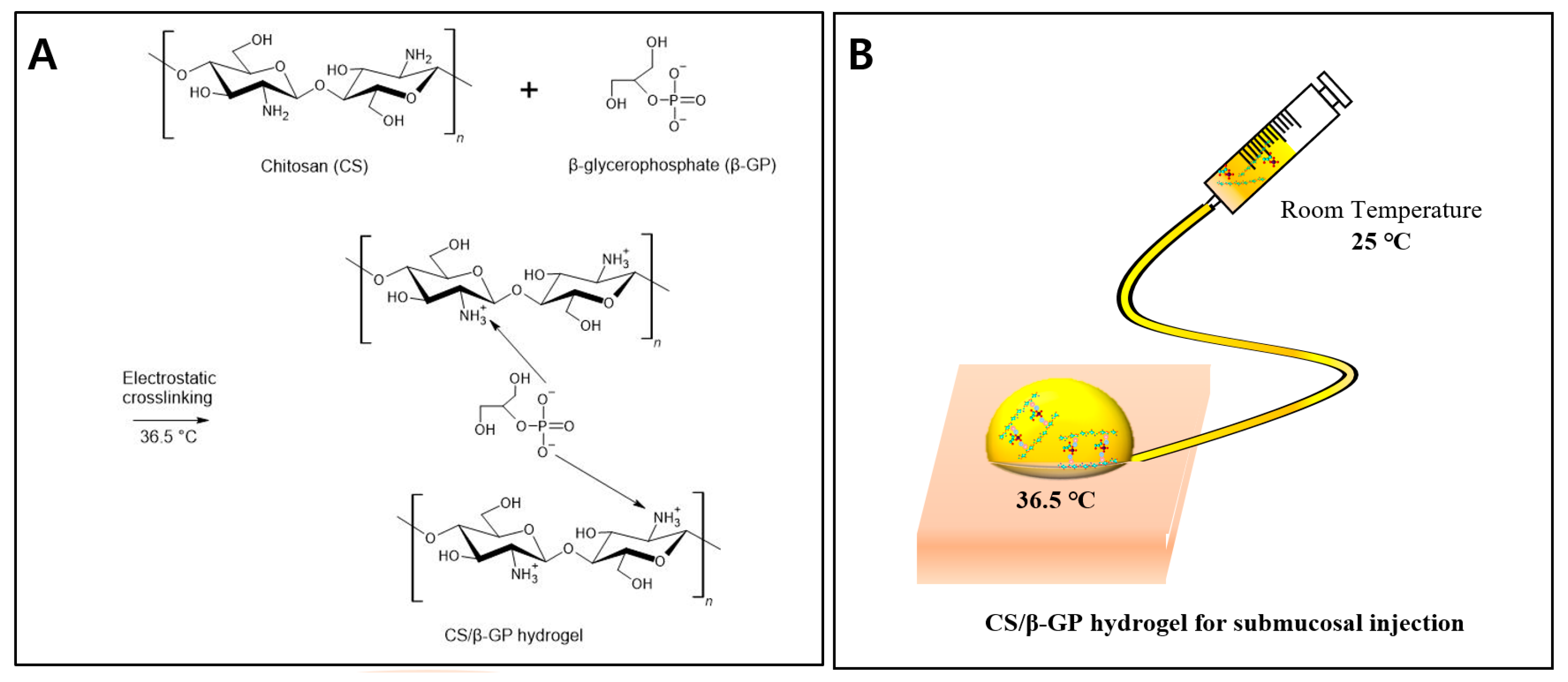 Injectable Thermosensitive Chitosan Solution with β-Glycerophosphate as ...