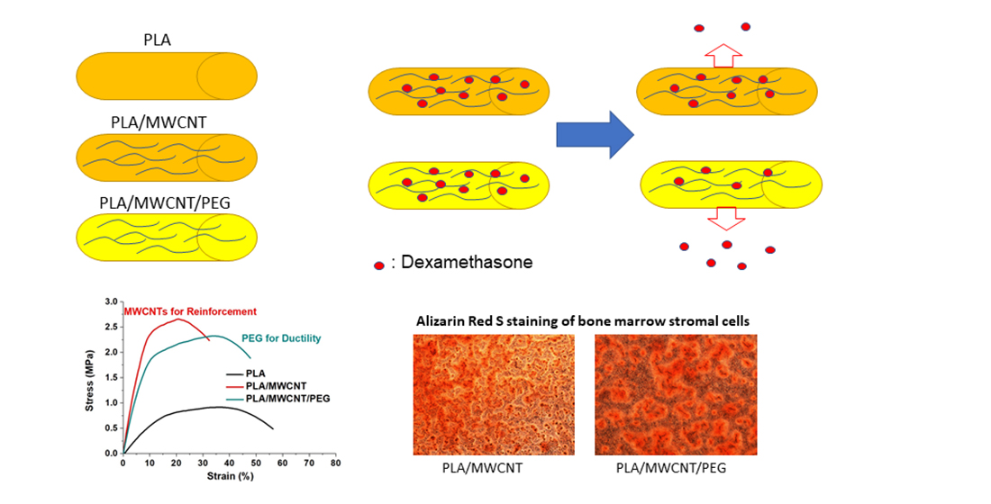 Polymers | Free Full-Text | The Development of Polylactic Acid/Multi ...