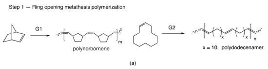 Multiblock Copolymers of Norbornene and Cyclododecene: Chain Structure ...