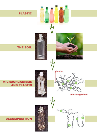 Polymers | Free Full-Text | Designing of Green Plasticizers and ...