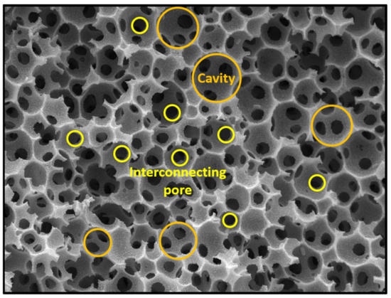 Porous Polymers from High Internal Phase Emulsions as Scaffolds for ...