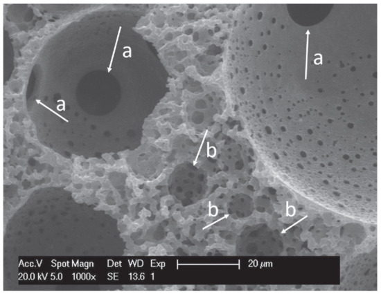 Porous Polymers from High Internal Phase Emulsions as Scaffolds for ...