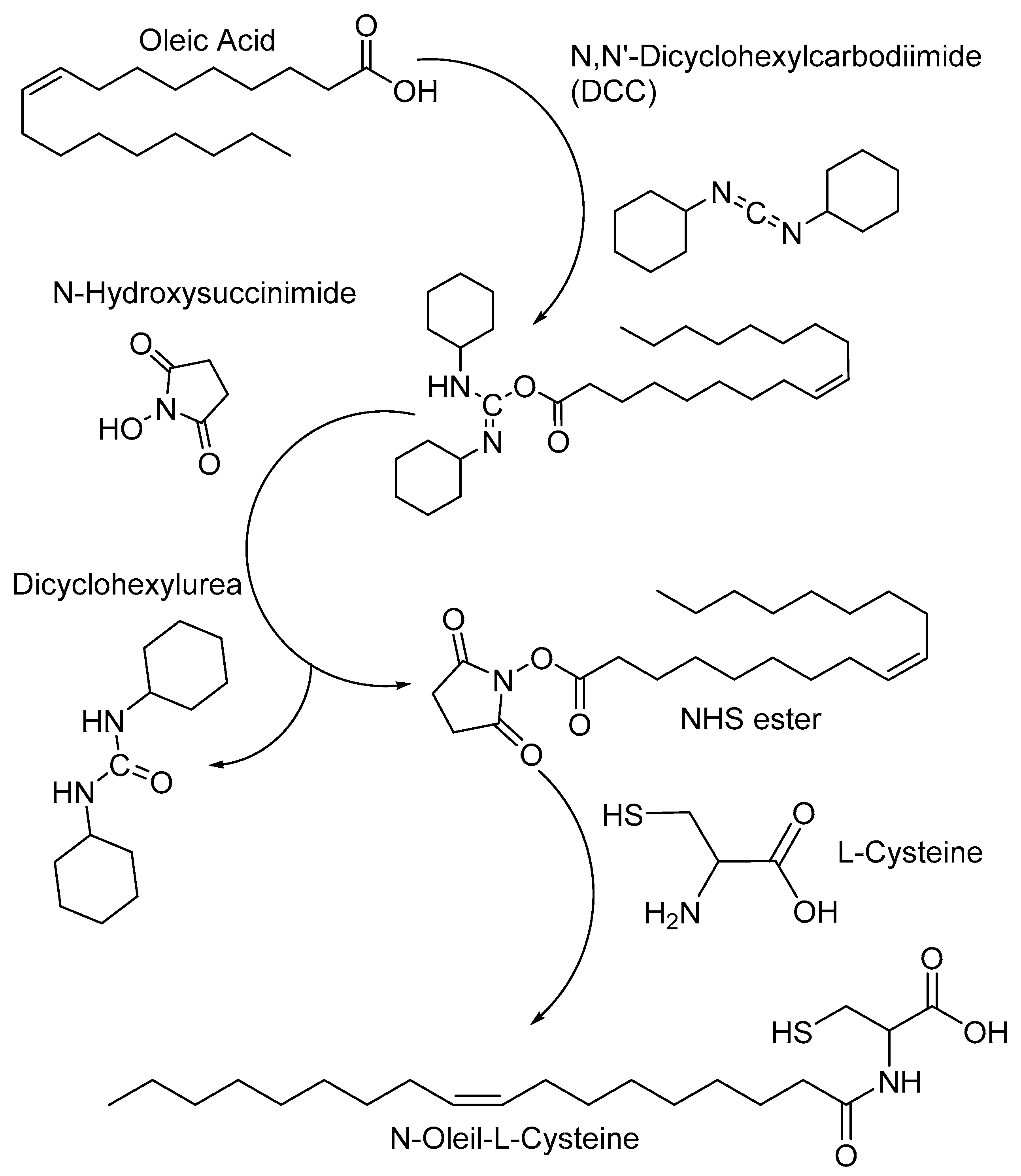 Oleic Acid Structure